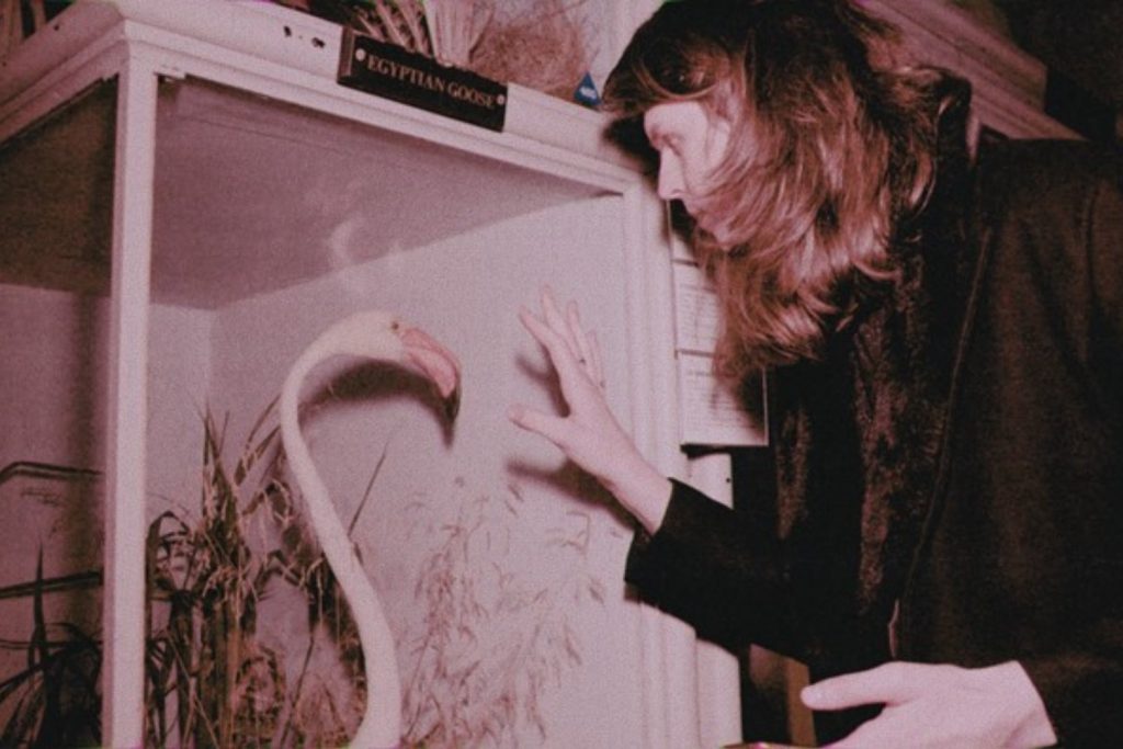 NANCY releases his debut LP, ‘English Leather’ - Dork