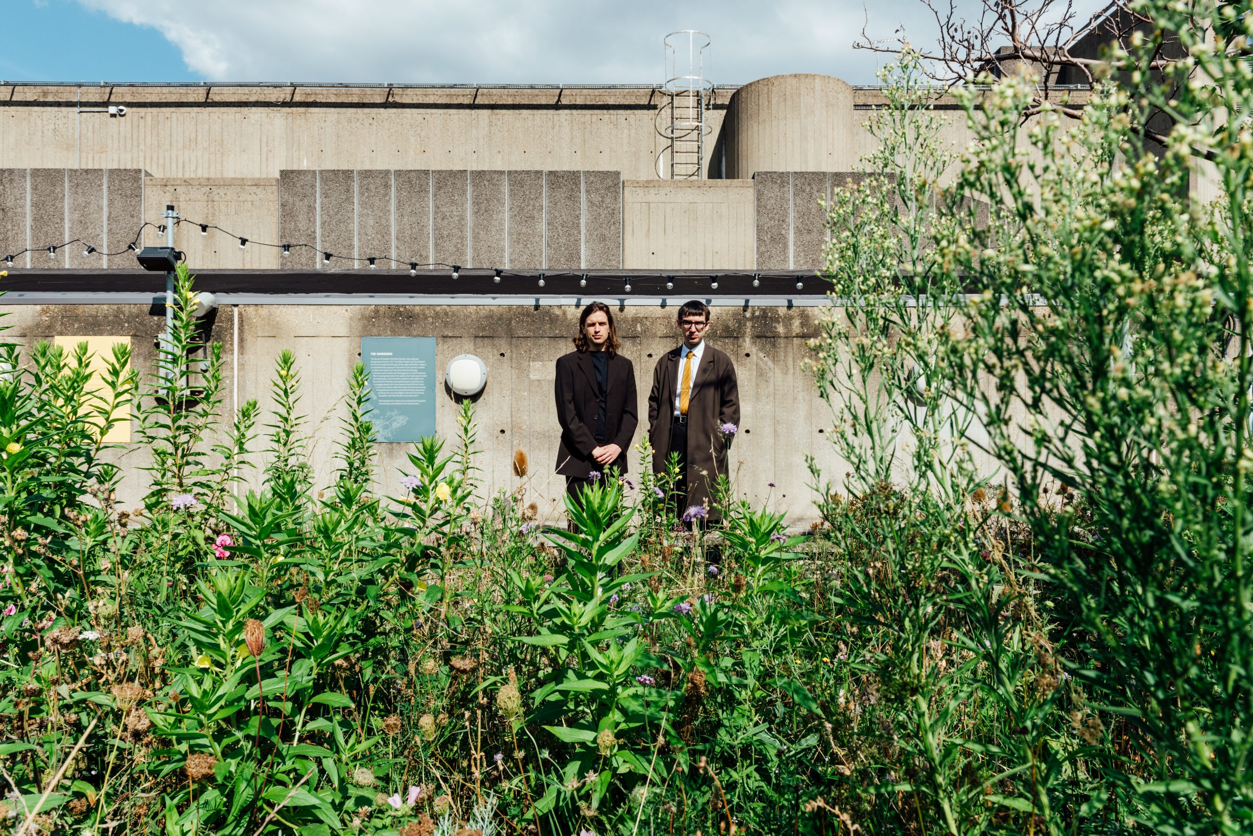 Spector: Now or whenever - Dork