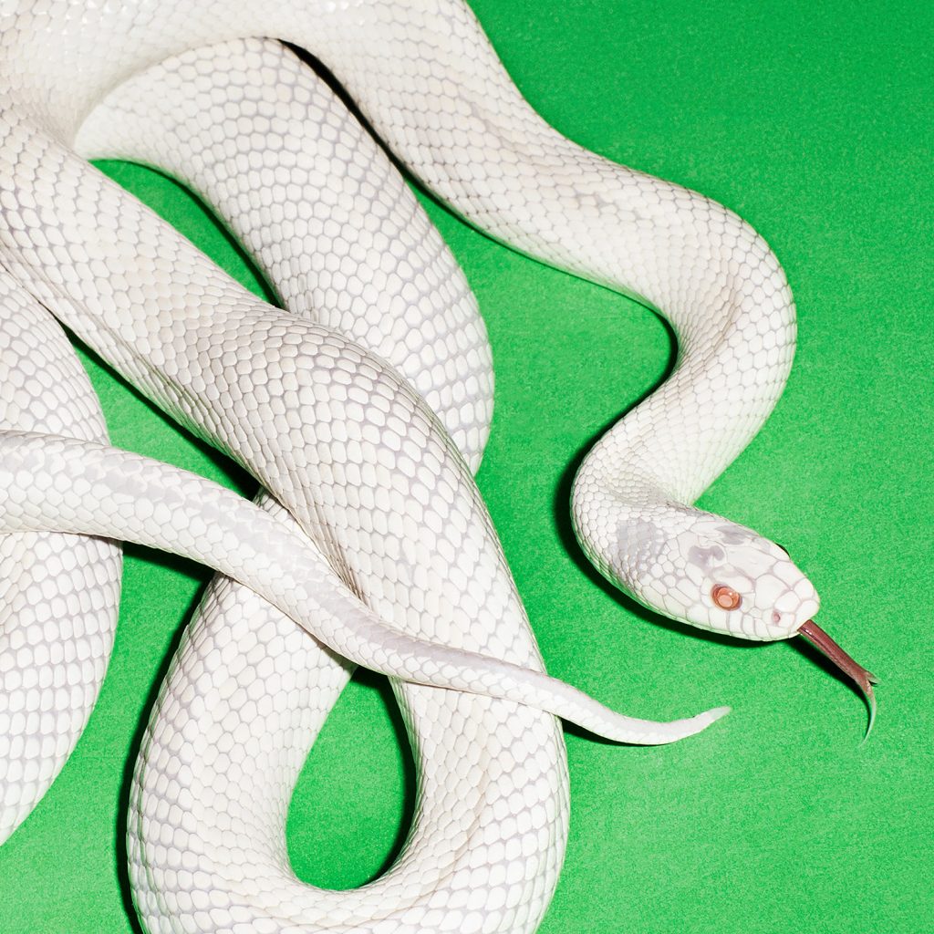 Deftones – Private Music - Dork